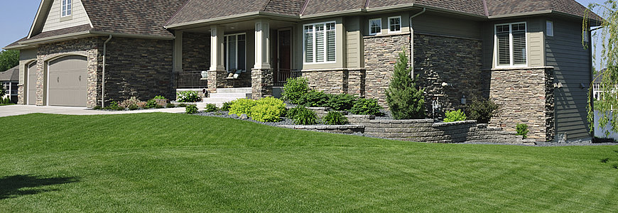 Turf Type Perennial Ryegrass Seed, Turf Type Perennial Ryegrass Seeds ...